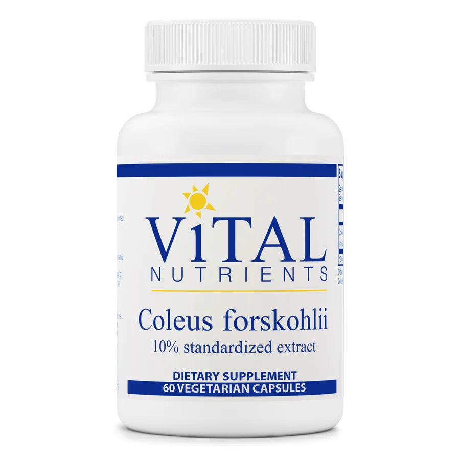 Coleus forskohlii 10% - 90mg | Pharmedico